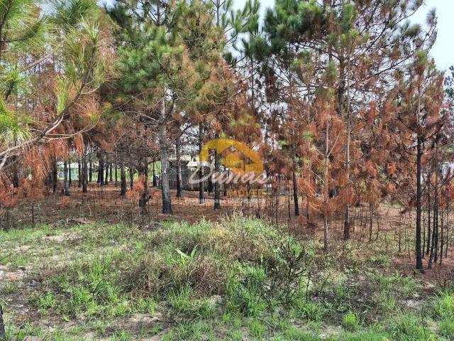 Terreno / Lote para Venda em Tramandaí/RS Nova Tramandaí