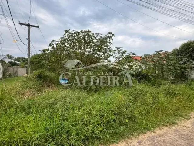Terreno / Lote para Venda em Tramandaí/RS Nova Tramandaí