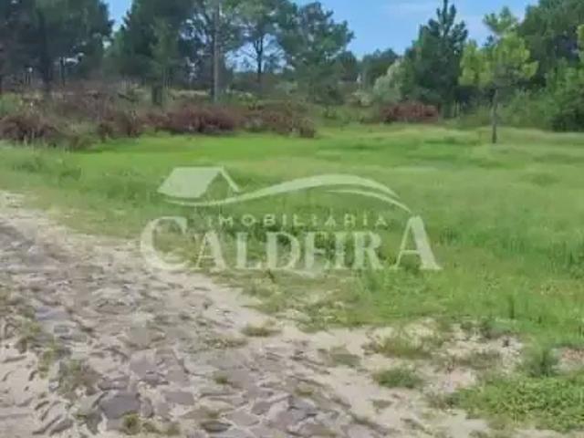 Terreno / Lote para Venda em Tramandaí/RS Nova Tramandaí