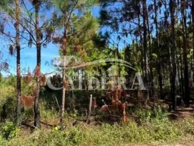 Terreno / Lote para Venda em Tramandaí/RS Nova Tramandaí