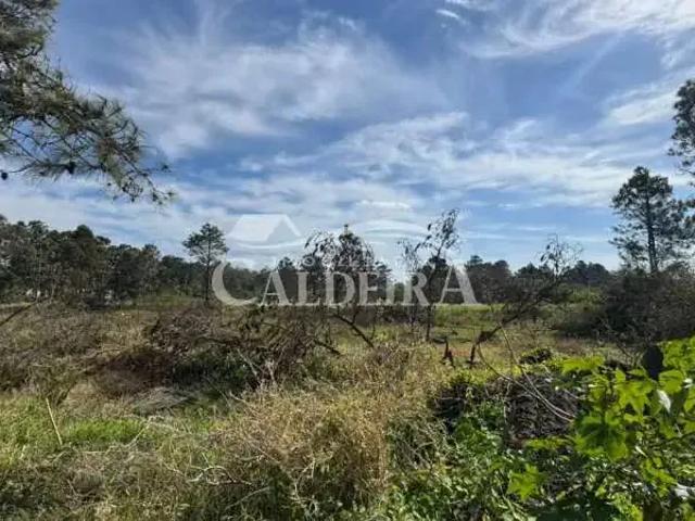 Terreno / Lote para Venda em Tramandaí/RS Nova Tramandaí