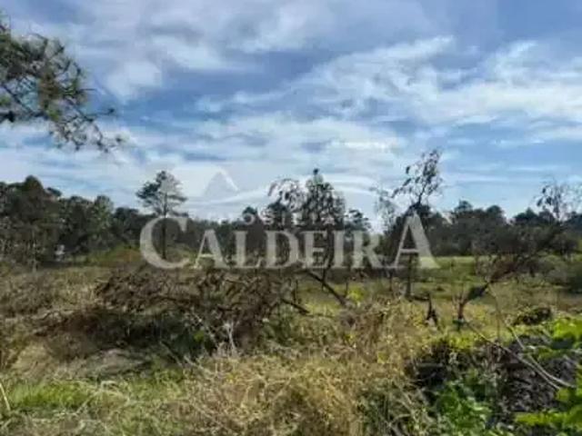 Terreno / Lote para Venda em Tramandaí/RS Nova Tramandaí