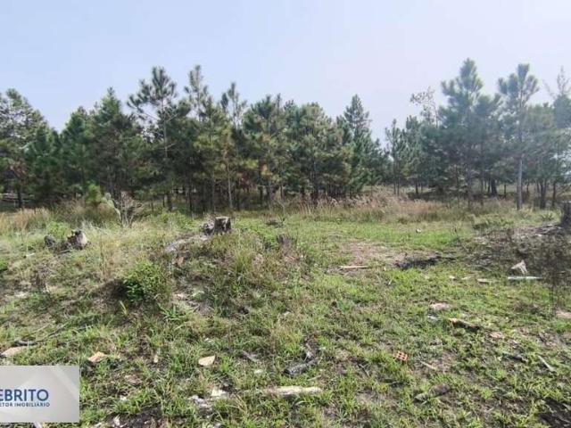 Terreno / Lote para Venda em Tramandaí/RS Nova Tramandaí