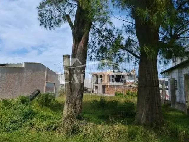 Terreno / Lote para Venda em Tramandaí/RS Nova Tramandaí
