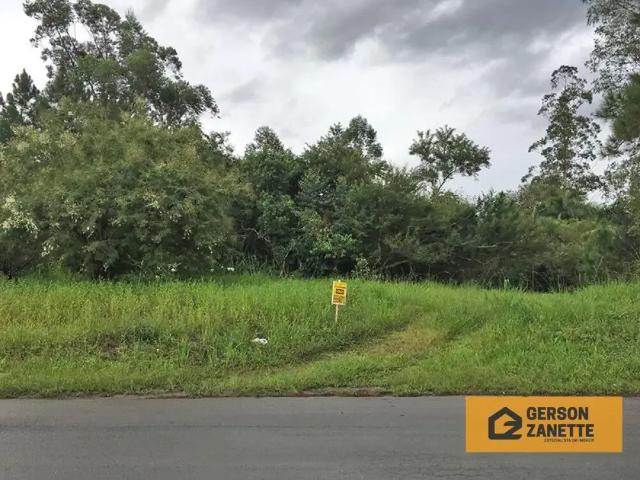 Terreno / Lote para Venda em Treviso/SC Morro São Pedro