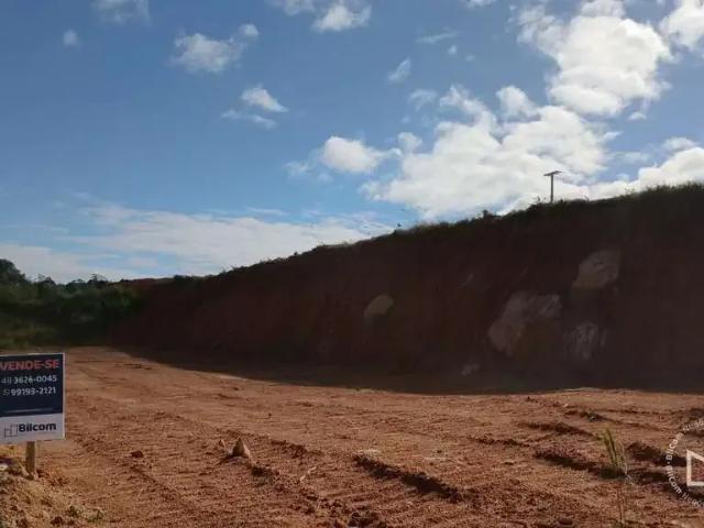 Terreno / Lote para Venda em Treze de Maio/SC Vila Maria