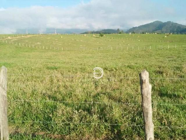 Terreno / Lote para Venda em Tremembé/SP Centro