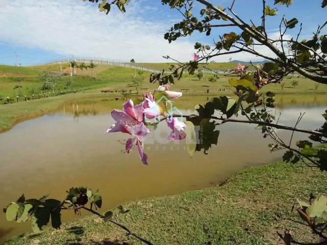 Terreno / Lote para Venda em Tremembé/SP Jardim Maracaibo