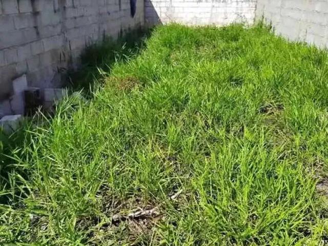 Terreno / Lote para Venda em Tremembé/SP Jardim Maracaibo