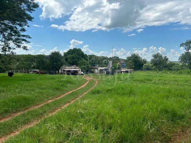 Terreno / Lote para Venda em Três Fronteiras/SP Zona Rural