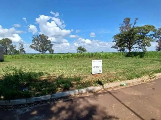 Terreno / Lote para Venda em Três Lagoas/MS Bosque das Araras