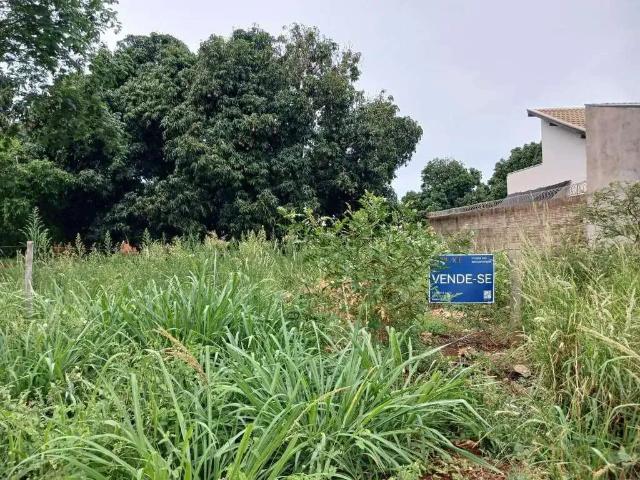Terreno / Lote para Venda em Três Lagoas/MS Parque das Mangueiras