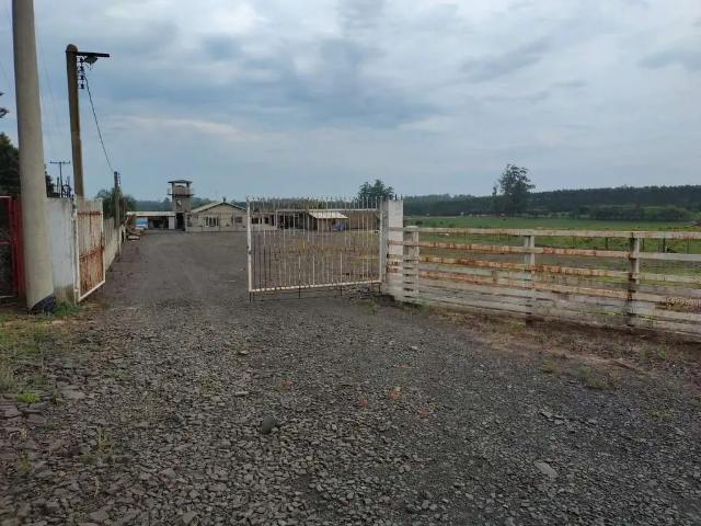 Terreno / Lote para Venda em Triunfo/RS Zona Rural 2 Quartos