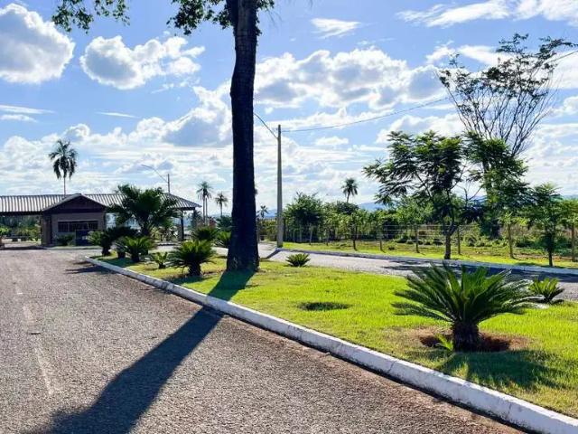 Terreno / Lote para Venda em Trindade/GO Centro