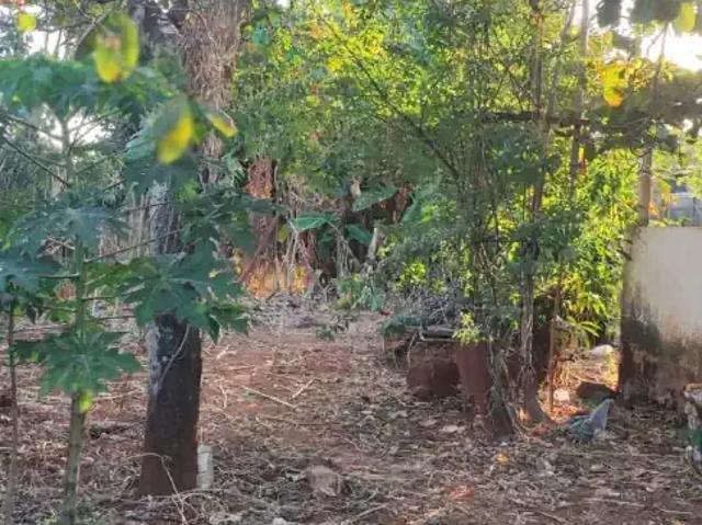 Terreno / Lote para Venda em Trindade/GO Setor Palmares