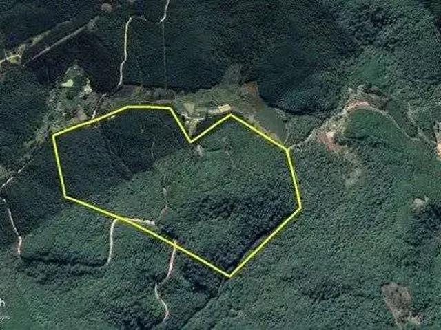 Terreno / Lote para Venda em Tunas do Paraná/PR Centro