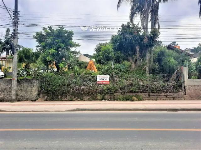 Terreno / Lote para Venda em Tubarão/SC Monte Castelo