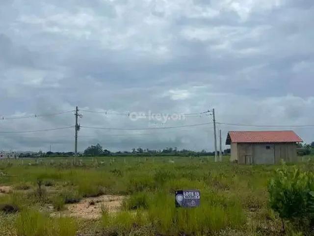 Terreno / Lote para Venda em Tubarão/SC Santa Luzia