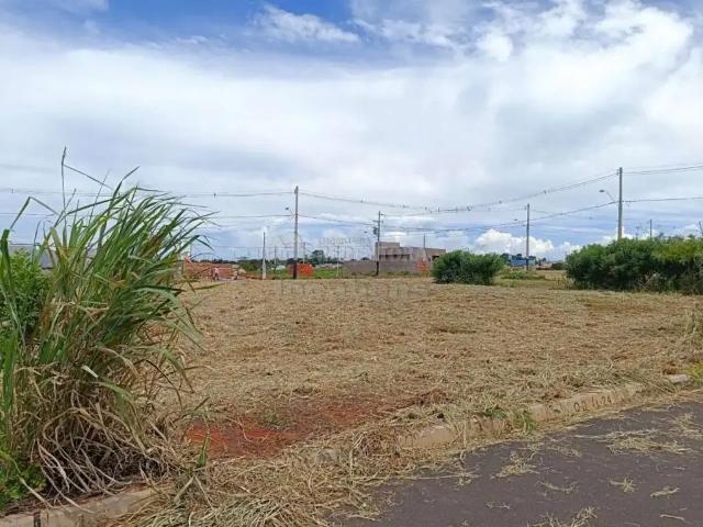 Terreno / Lote para Venda em Uchoa/SP Viva Uchoa II