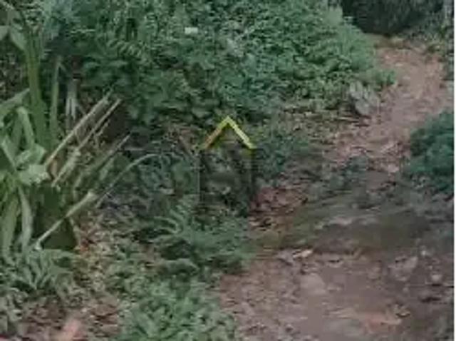 Terreno / Lote para Venda em Ubatuba/SP Centro