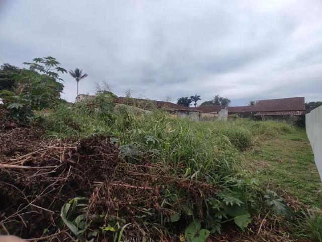 Terreno / Lote para Venda em Ubatuba/SP Barra da Lagoa