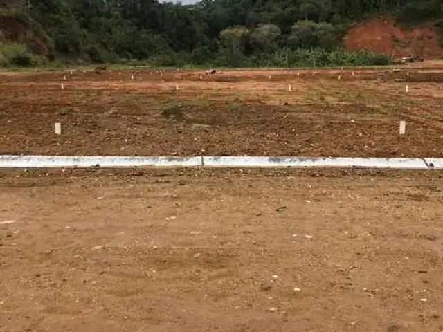 Terreno / Lote para Venda em Ubatuba/SP Estufa II