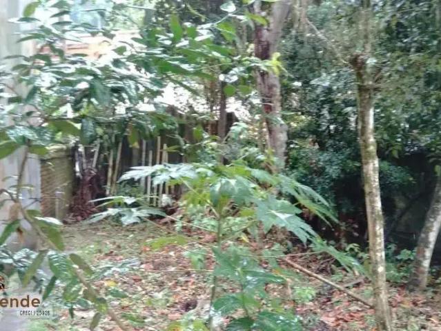 Terreno / Lote para Venda em Ubatuba/SP Estufa II