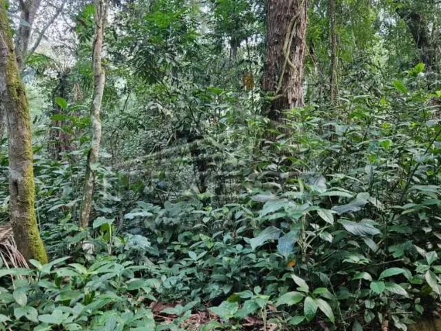 Terreno / Lote para Venda em Ubatuba/SP Félix