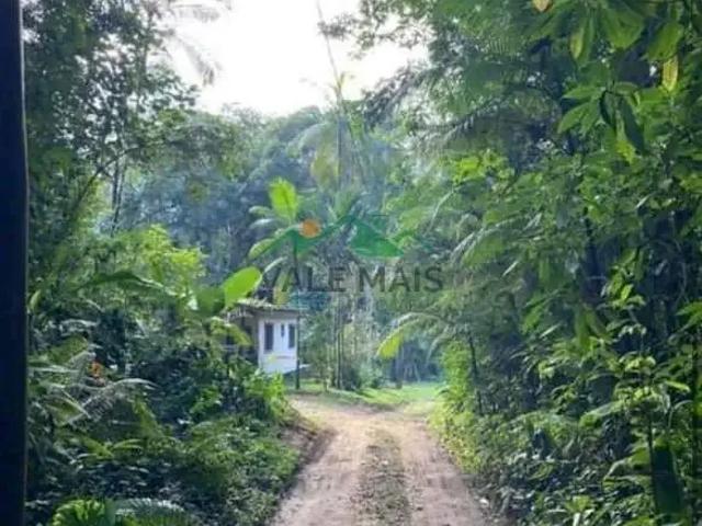 Terreno / Lote para Venda em Ubatuba/SP Horto