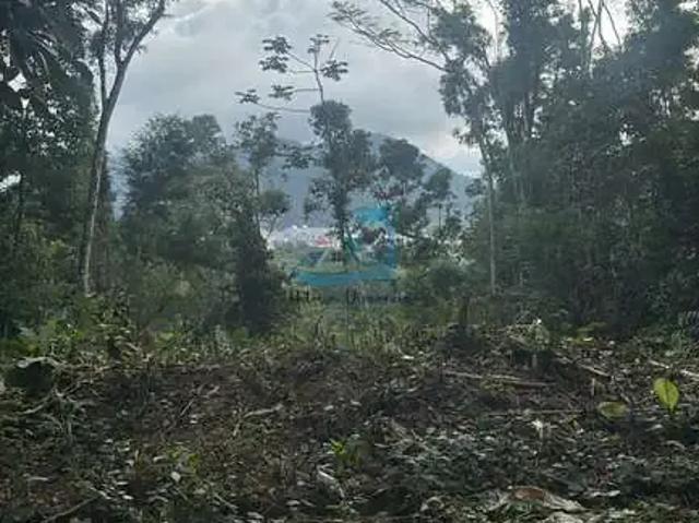 Terreno / Lote para Venda em Ubatuba/SP Itaguá