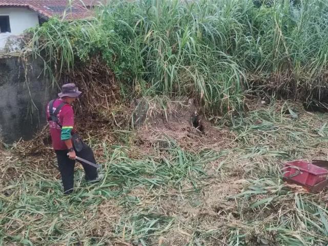 Terreno / Lote para Venda em Ubatuba/SP Itaguá