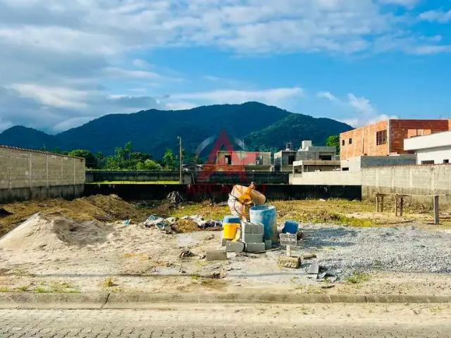 Terreno / Lote para Venda em Ubatuba/SP Mato Dentro
