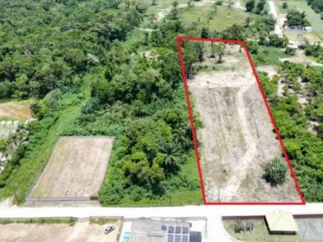 Terreno / Lote para Venda em Ubatuba/SP Mato Dentro