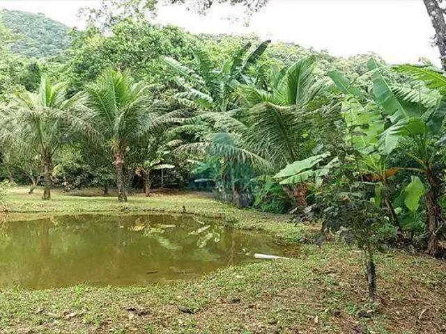 Terreno / Lote para Venda em Ubatuba/SP Marafunda