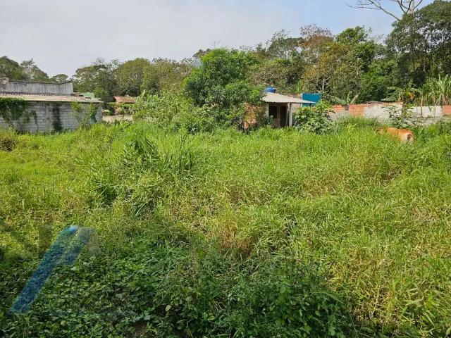 Terreno / Lote para Venda em Ubatuba/SP Sertão da Quina