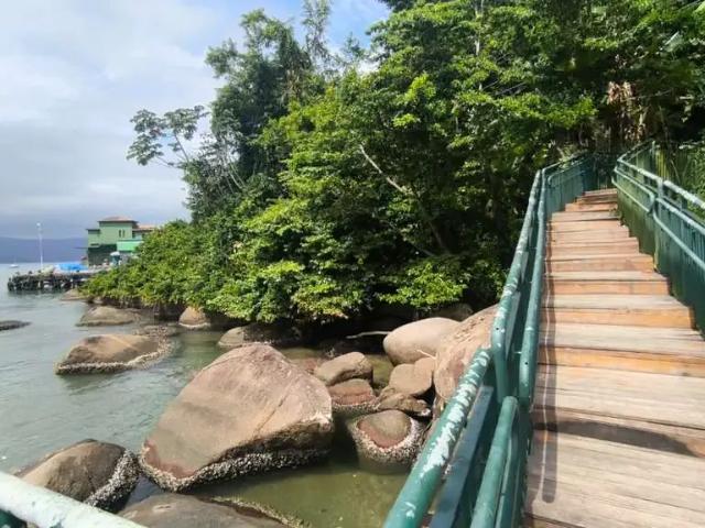 Terreno / Lote para Venda em Ubatuba/SP Ponta Grossa