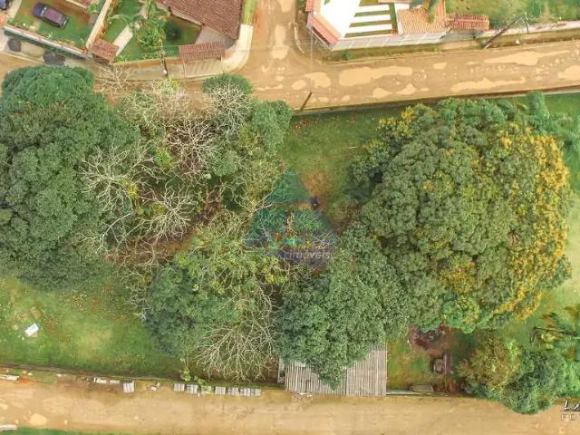 Terreno / Lote para Venda em Ubatuba/SP Pereque Mirim