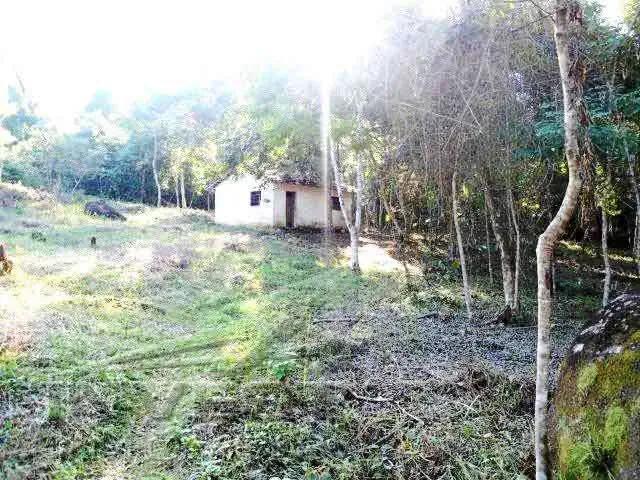 Terreno / Lote para Venda em Ubatuba/SP Prumirim