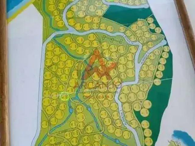 Terreno / Lote para Venda em Ubatuba/SP Praia do Félix Praia do Lúcio