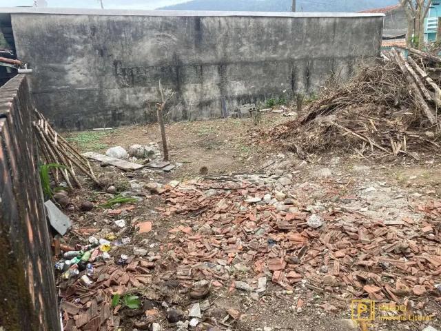Terreno / Lote para Venda em Ubatuba/SP Praia do Félix Praia do Lúcio
