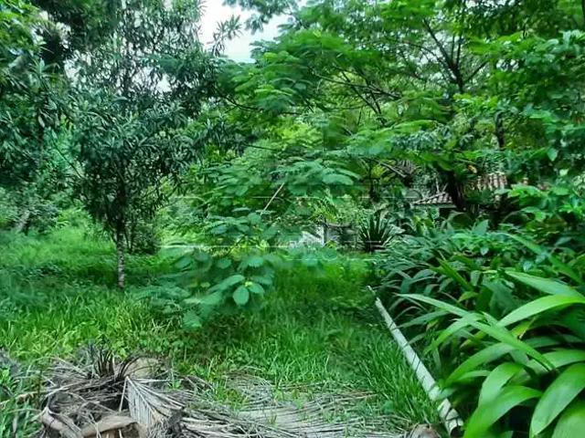Terreno / Lote para Venda em Ubatuba/SP Praia do Félix Praia do Lúcio