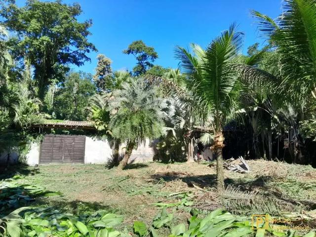 Terreno / Lote para Venda em Ubatuba/SP Praia do Itamambuca