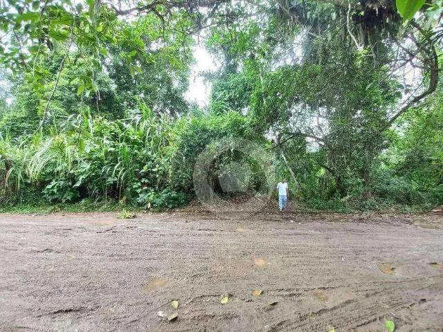 Terreno / Lote para Venda em Ubatuba/SP Praia do Itamambuca