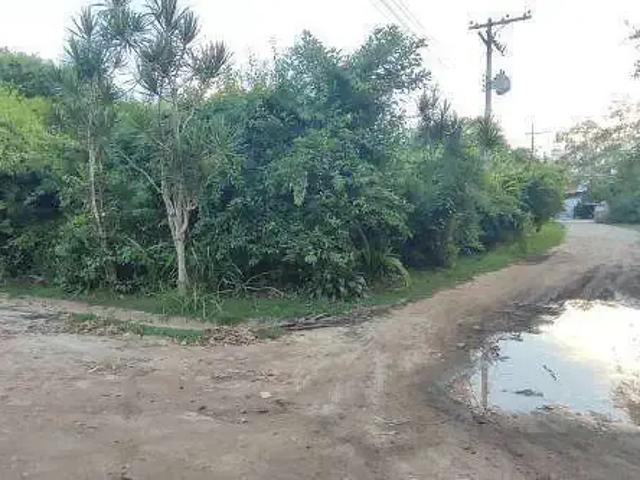 Terreno / Lote para Venda em Ubatuba/SP Praia do Itamambuca