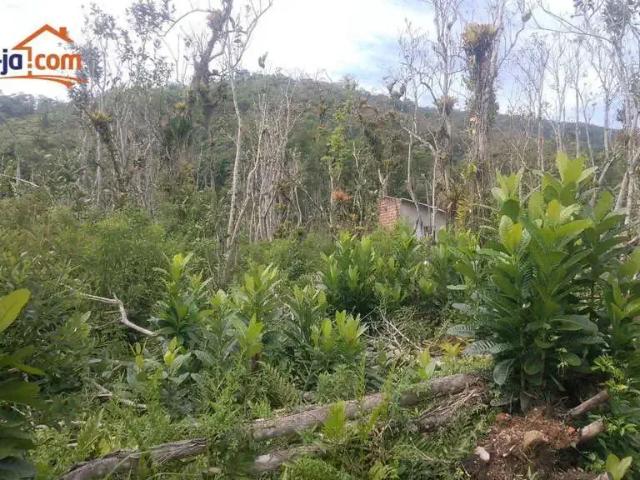 Terreno / Lote para Venda em Ubatuba/SP Praia do Itamambuca