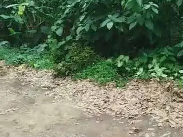 Terreno / Lote para Venda em Ubatuba/SP Praia do Itamambuca