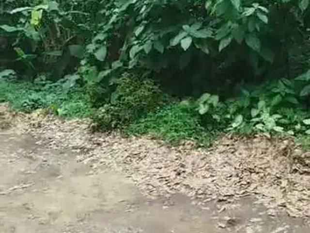 Terreno / Lote para Venda em Ubatuba/SP Praia do Itamambuca