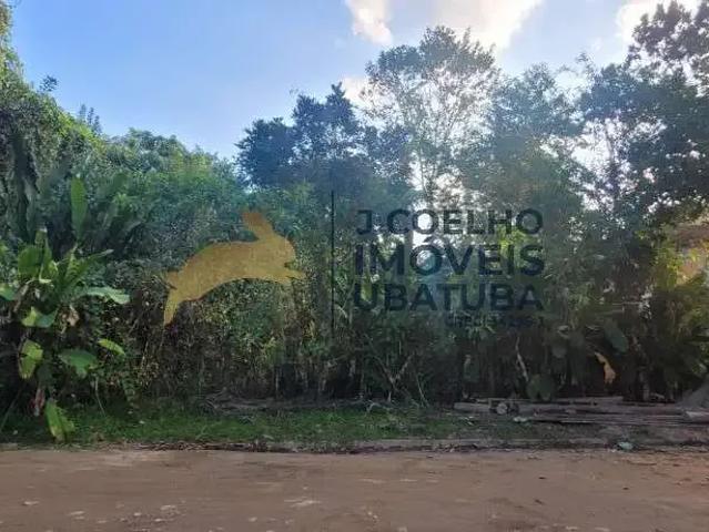Terreno / Lote para Venda em Ubatuba/SP Praia do Itamambuca