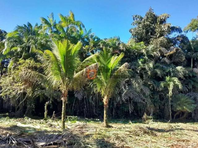 Terreno / Lote para Venda em Ubatuba/SP Praia do Itamambuca