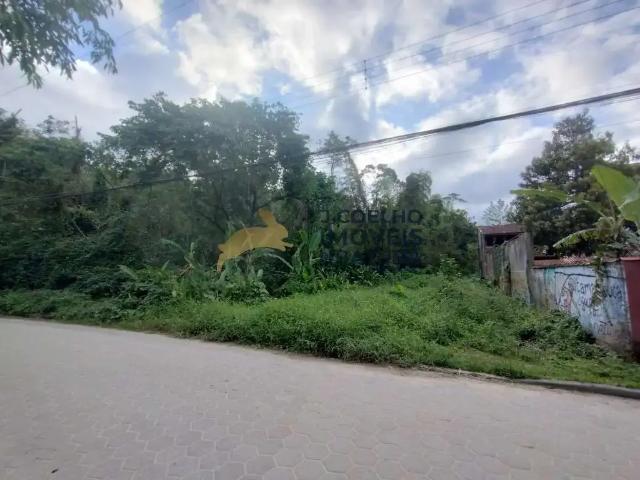 Terreno / Lote para Venda em Ubatuba/SP Praia do Itamambuca